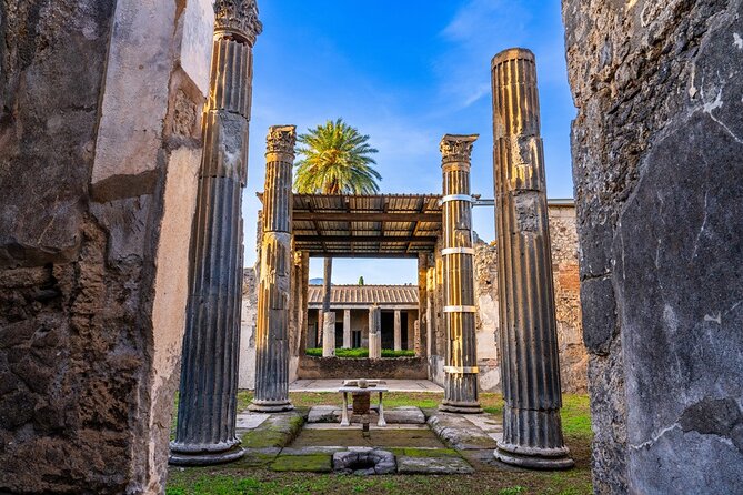 From Rome: Pompeii and Vesuvius Crater Experience with lunch - Detailed Breakdown of the Itinerary