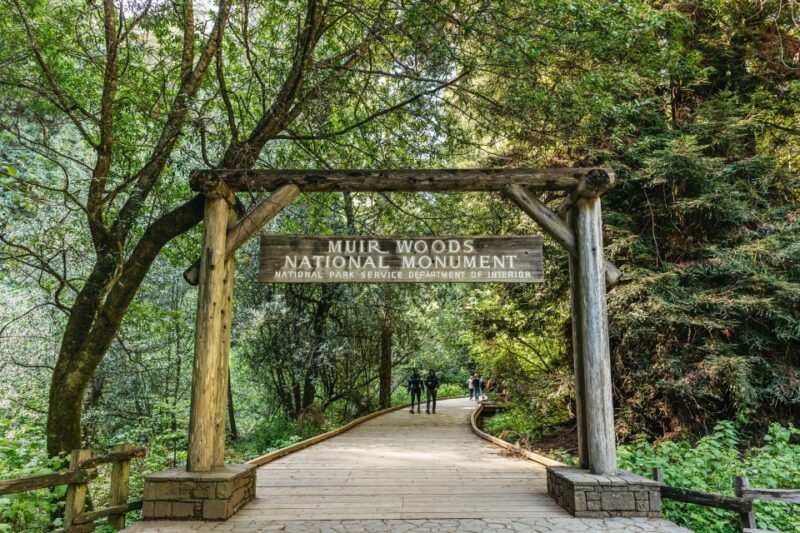 From San Francisco: Guided Muir Woods Tour - What Makes This Tour Stand Out