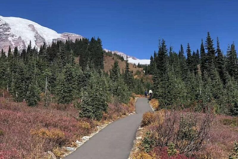 From Seattle: Mount Rainier National Park 1-Day Tour - The Itinerary: A Closer Look