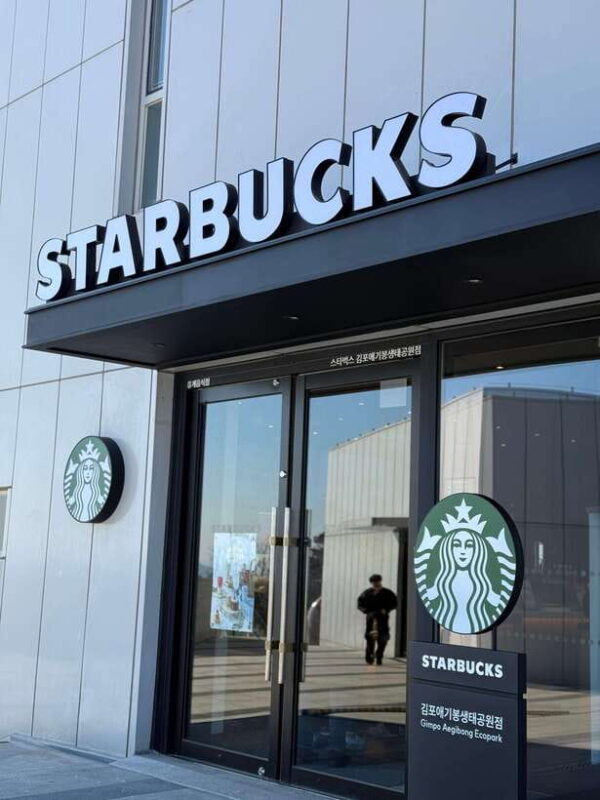 From Seoul: Aegibong Starbucks Observatory & DMZ View - Who Will Love This Tour?