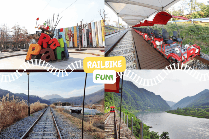 From Seoul: Alpaca Farm with Rail bike/ Luge Racing - The Value of This Tour