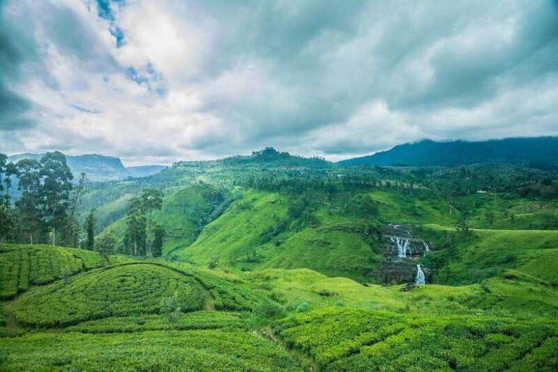 From Sigiriya: 6-Day Sri Lanka Tour with Yala Safari - What Is the Value of This Tour?