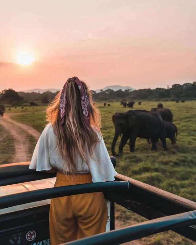 From Sigiriya: Minneriya National Park Elephant Safari - FAQ