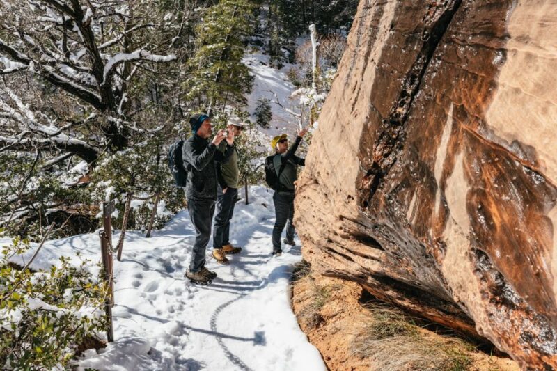 From Springdale: 4-hour Zion Canyon Scenic Hiking Tour - What to Bring and Tips for the Tour