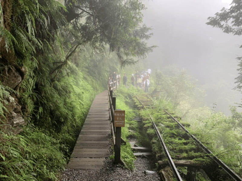 From Taipei: Taipingshan National Forest Private Day Tour - What’s Included and What’s Not