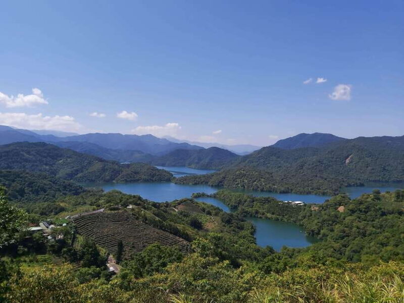 From Taipei: Thousand Island Lake and Pinglin Tea Plantation - The Tea Cultivation and Culture at Pinglin