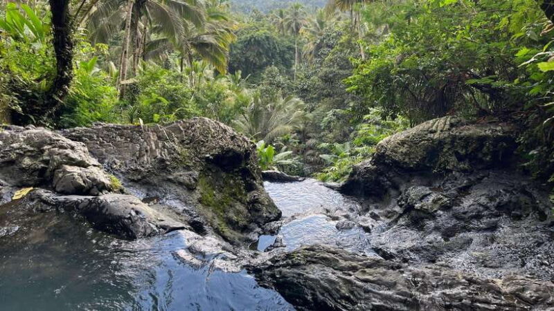 From Ubud: visit the best waterfalls arround - Authentic Voices from Past Travelers