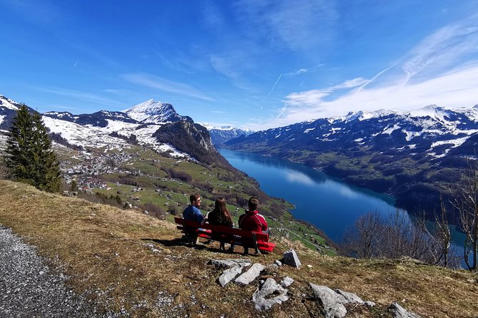 From Zurich: Breathtaking waterfall and lakes private tour - The Sum Up