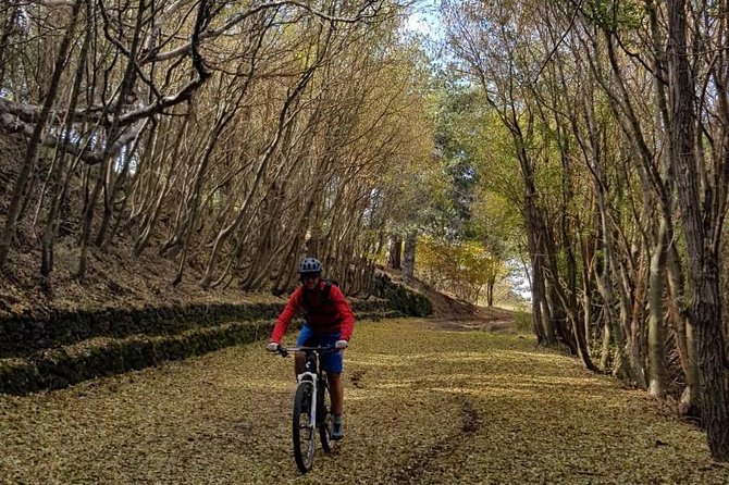 Full circuit of Etna by MTB small group - Detailed Breakdown of the Itinerary