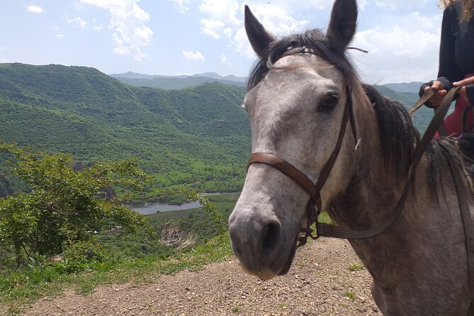 Full-day Private Guided Horseback Ride through Dzoraget Canyon - FAQ