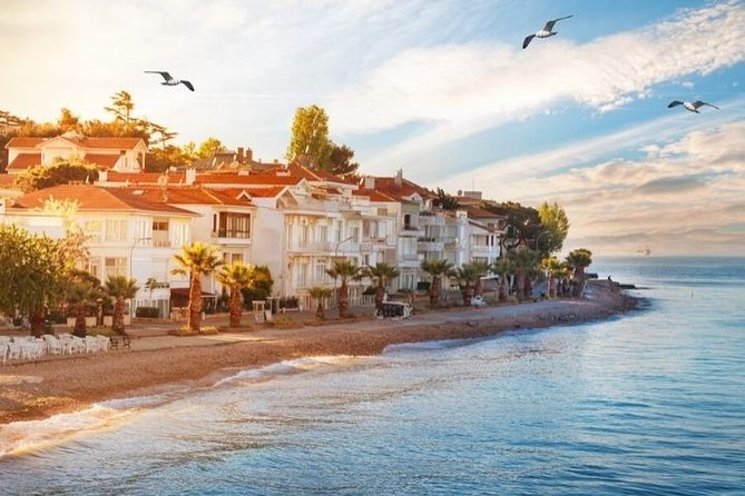 Full Day Private Luxury Yacht Cruise to Princes' Island and / or Bosphorus - Who Will Love This Tour?