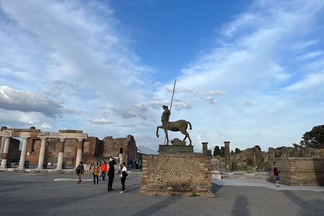 Full Day Private Tour to Pompeii, Herculaneum and Oplontis - FAQ