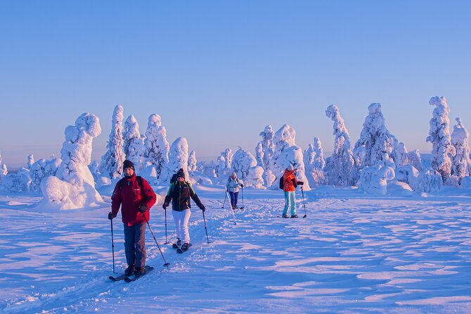 Full-Day Snowshoeing Adventure in Amethyst Mine Pyhä Luosto - FAQ