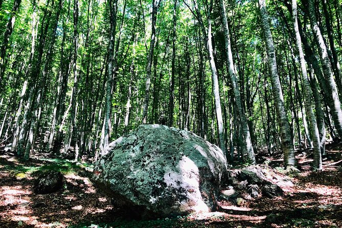 Full Day Tirana City & Dajti National Park, Private Tour - Final Thoughts