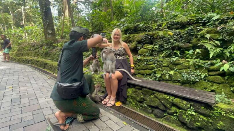 Full Day Tour To Ubud Included Ticket - What We Think About the Tour’s Value