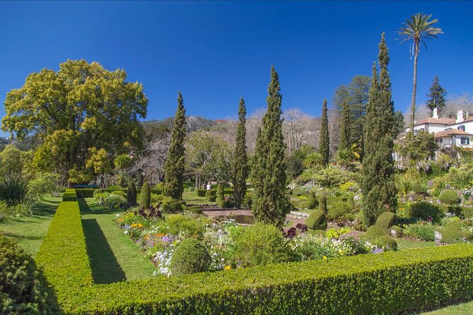 Funchal Old Town & Palheiro Gardens Private Tuk Tuk Tour - Final Thoughts