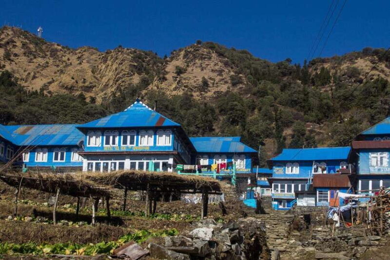 Ghorepani poon hill trek - Who Should Consider This Trek?