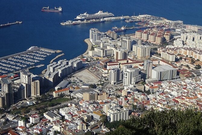 Gibraltar Shore Excursion: The Original Rock, Shop & Caves Tour - Price and Value