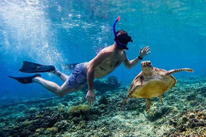 Gili Islands Lombok: 4 Hour Private Group Snorkeling Trip - Navigating Practicalities and Choosing the Right Experience