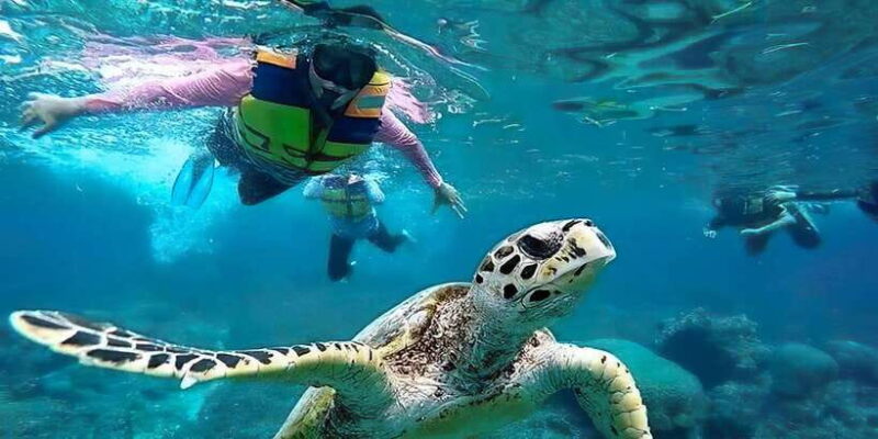 Gili Islands Snorkeling Adventure - Analyzing the Itinerary: What to Expect at Each Stop