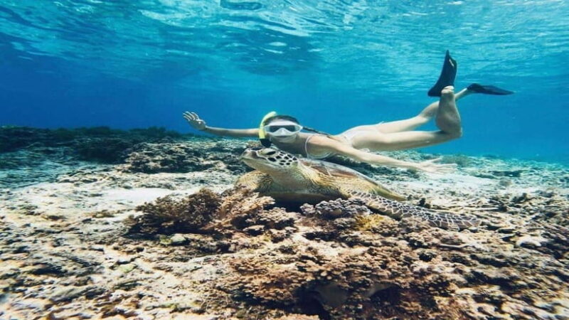 Gili Trawangan: Private Snorkeling 4 Spot with Gopro Camera - Who Will Love This Tour