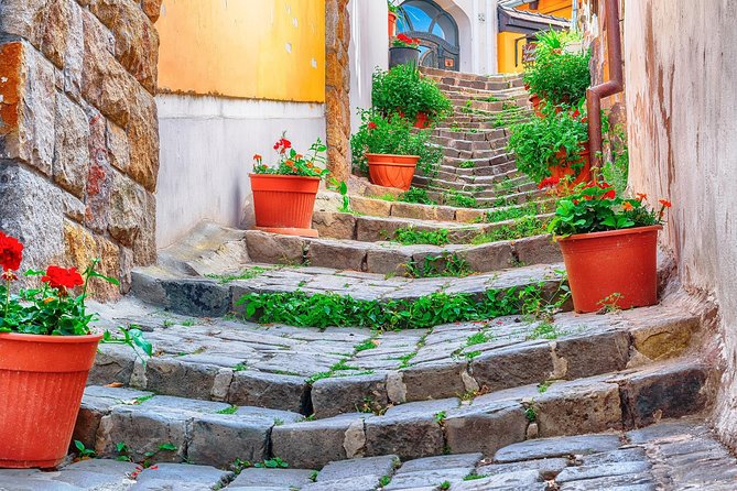Godollo Sisi Castle and Szentendre Full-Day Private Tour from Budapest - FAQ