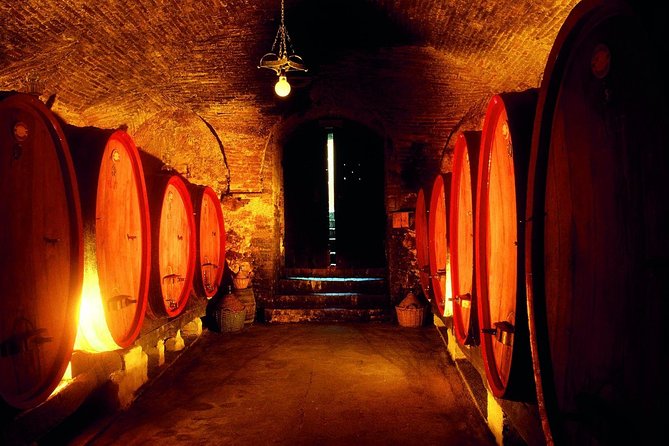 Gourmet Tour in the old town center - Who Will Love This Tour?