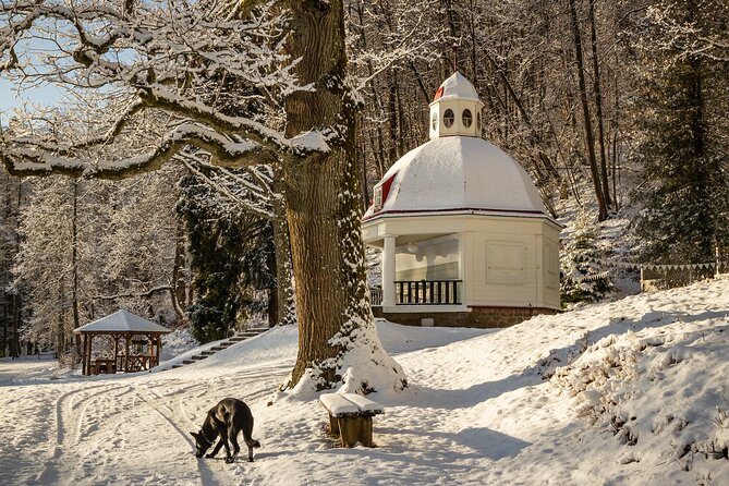 Group Tour: Sigulda and Turaida from Riga. - Authentic Experiences and Genuine Value