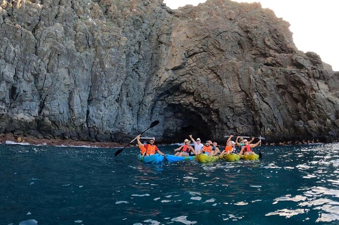 Guided Kayak Tour From Los Cristianos Beach Tenerife - The Value Proposition