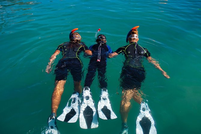 Guided Snorkeling Experience in Caleta de Fuste - The Value Proposition