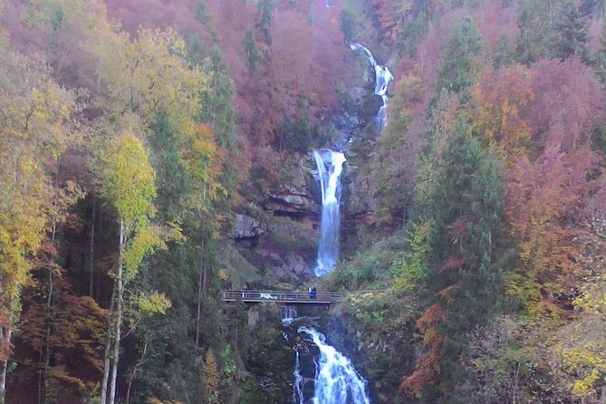 Half-Day Private Giessbach Falls and Lake Brienz from Interlaken - Who Should Consider This Tour?