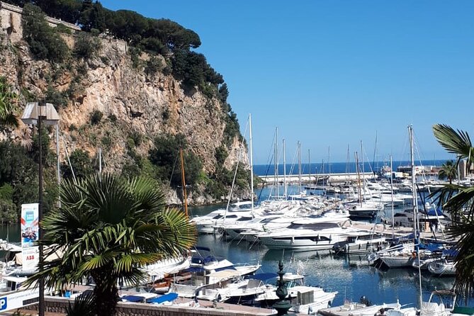 Half-Day Private Guided Tour of the French Riviera - Final Thoughts: Who Is This Tour For?