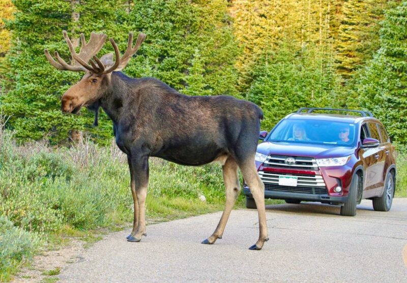 Half-Day RMNP Lakes and Meadows Tour-RMNPhotographer - The Itinerary in Detail