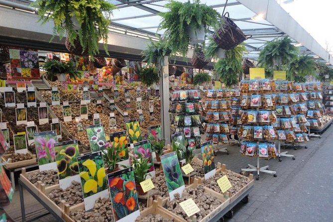 Half-Day Tour of Red Light District and Jordaan District with Private Guide in Amsterdam - The Itinerary Breakdown: What to Expect