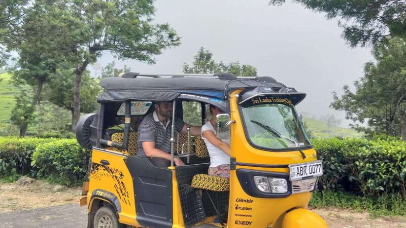 Haputale:Glorious Tuk Tuk Ride to Lipton'sSeat & Tea Factory - Who Will Enjoy This Tour?