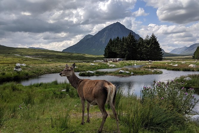 Highlands Private One Day Tour of Scotland - The Sum Up