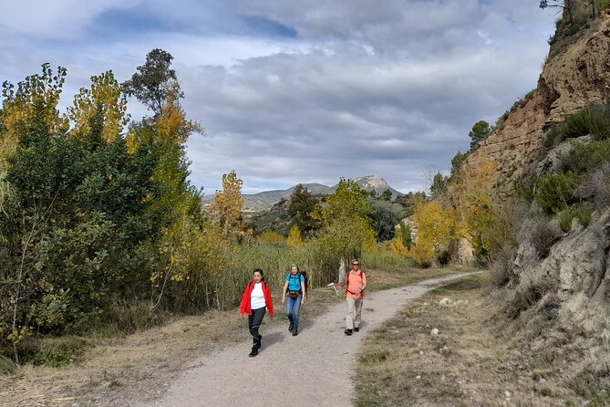 Hike to the Roman aqueduct Peña Cortada - The Sum Up