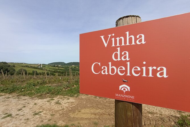 Hike & Wine Ericeira - Meeting Points and Practical Details