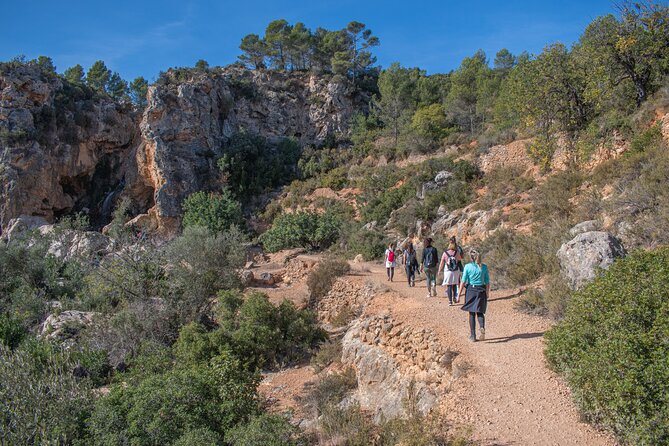 Hiking Experience between Waterfalls in Buñol from Valencia - The Sum Up: Why Consider This Waterfalls Hike?