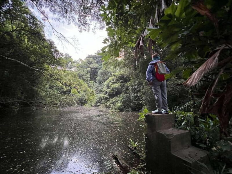 Hiking Tour to Seah Im bunker, Mount Faber and Henderson - Discovering Mount Faber and Its Monuments