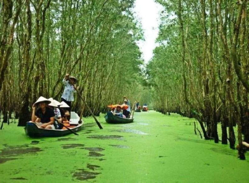 Ho Chi Minh: Can Gio Mangrove and Monkey Island - Practical Considerations and Tips