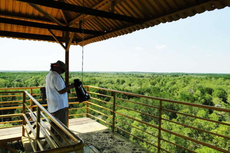 Ho Chi Minh City: Can Gio Eco Escape And Wildlife Discovery - What Travelers Appreciate and Consider