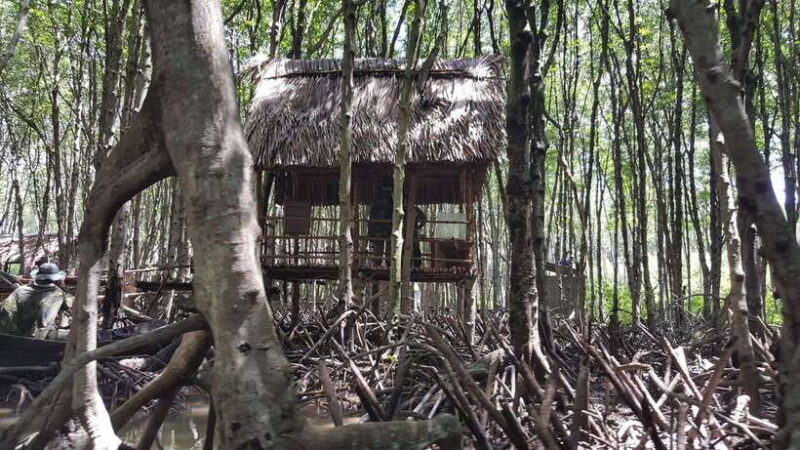 Ho Chi Minh:Can Gio Mangrove Forest w Guide Picked at hotel - Practical Tips and Considerations