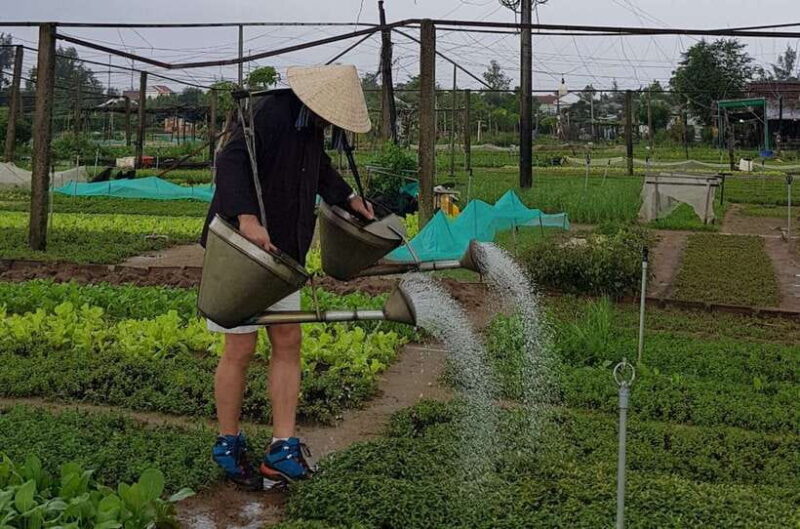 Hoi An Cooking Class With Market and Bamboo Basket Boat Tour - The Market Visit: A True Vietnamese Flavor