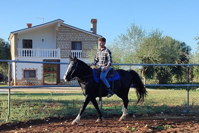 Horse riding in the Gargano National Park - Practical Details: Value, Timing, and Group Size