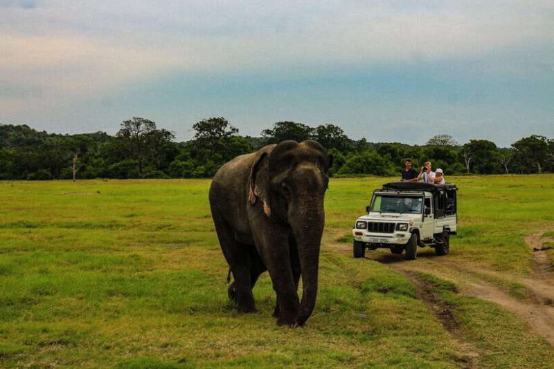 Hurlu eco park safari with jeep & Entrance ticket - What to Bring and What Not to Bring