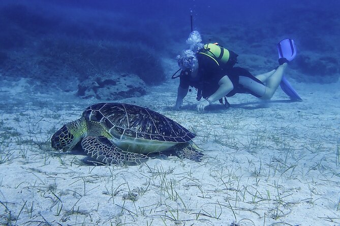 Introductory diving in small groups - Practicalities and Tips