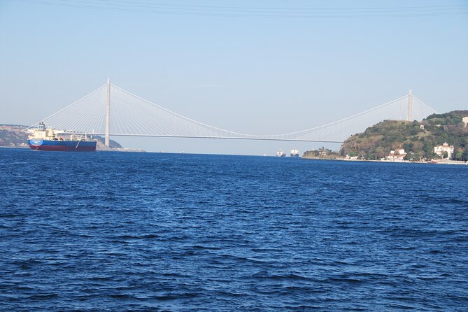 Istanbul Bosphorus Tour With Whirling Dervish Show - Final Thoughts: Who Will Love This Tour?