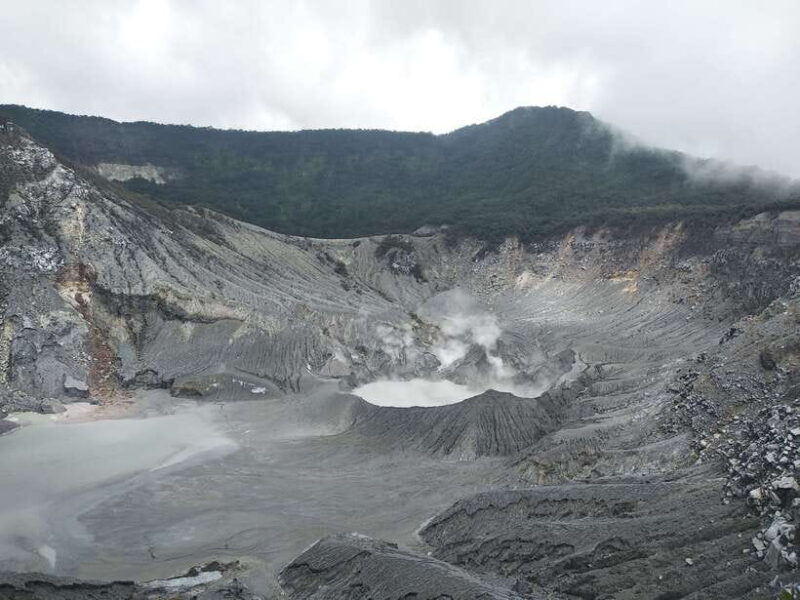 Jakarta: Volcano, Hot Spring, Tea, Rice Fields, &Coffee tour - Authentic Experiences and Highlights From Reviews