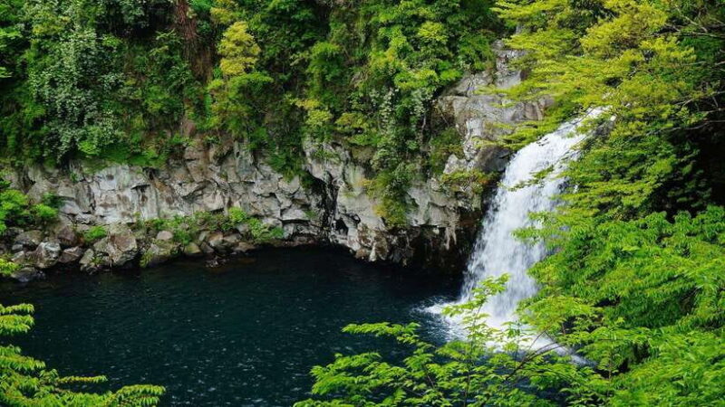 Jeju Island South Route One-day tour (optional attractions) - What Travelers Can Expect from the Experience